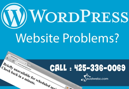 WordPress Website Problems | WordPress Maintenance | Web Pro