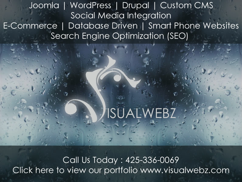 website design services cities - Seattle Website Design Company